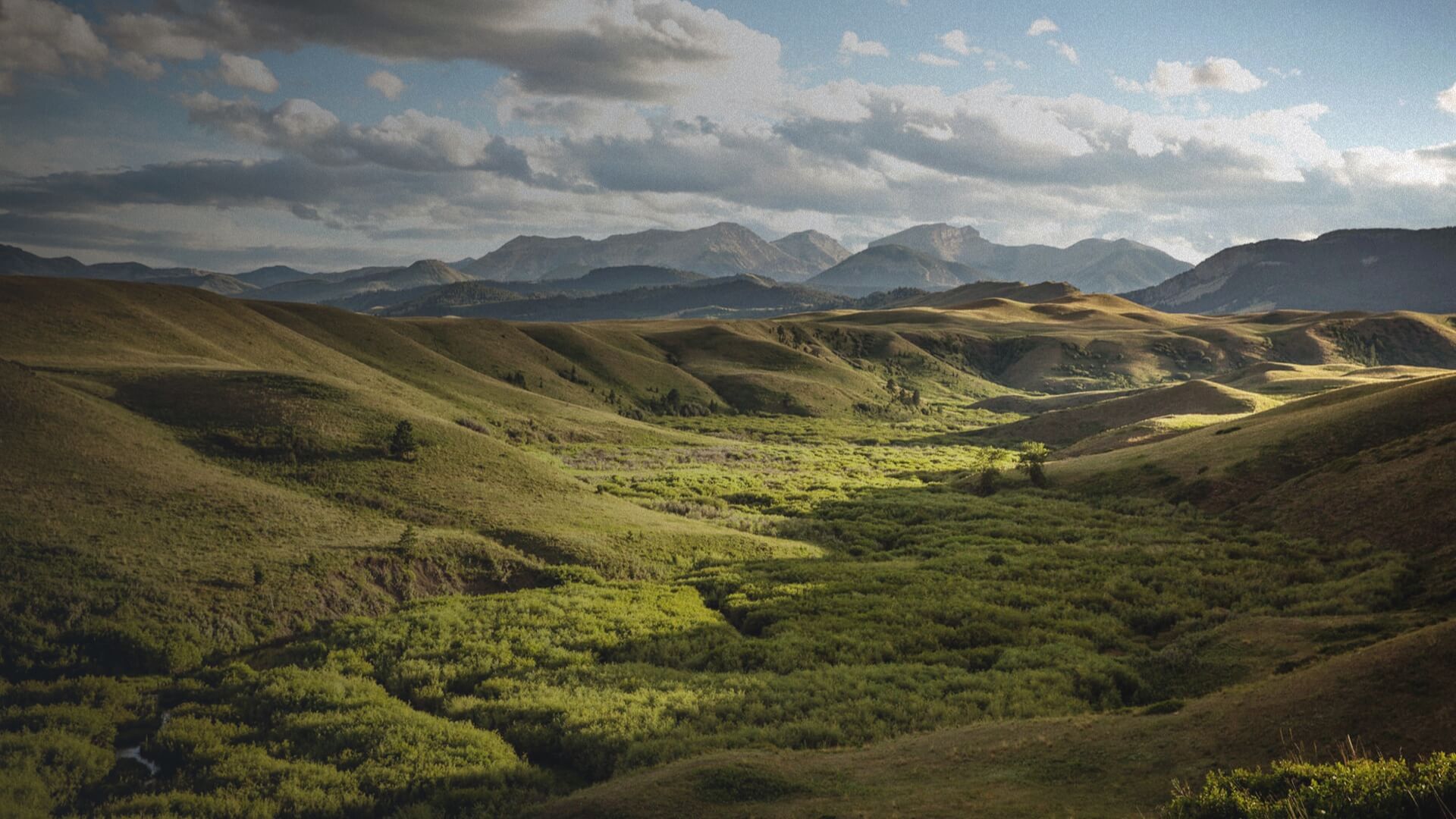 Front Street Capital Management | Our Portfolio